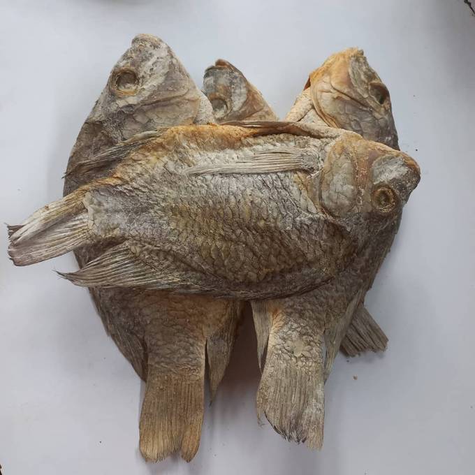 Salted fish ( Koobi) – Agri Cash